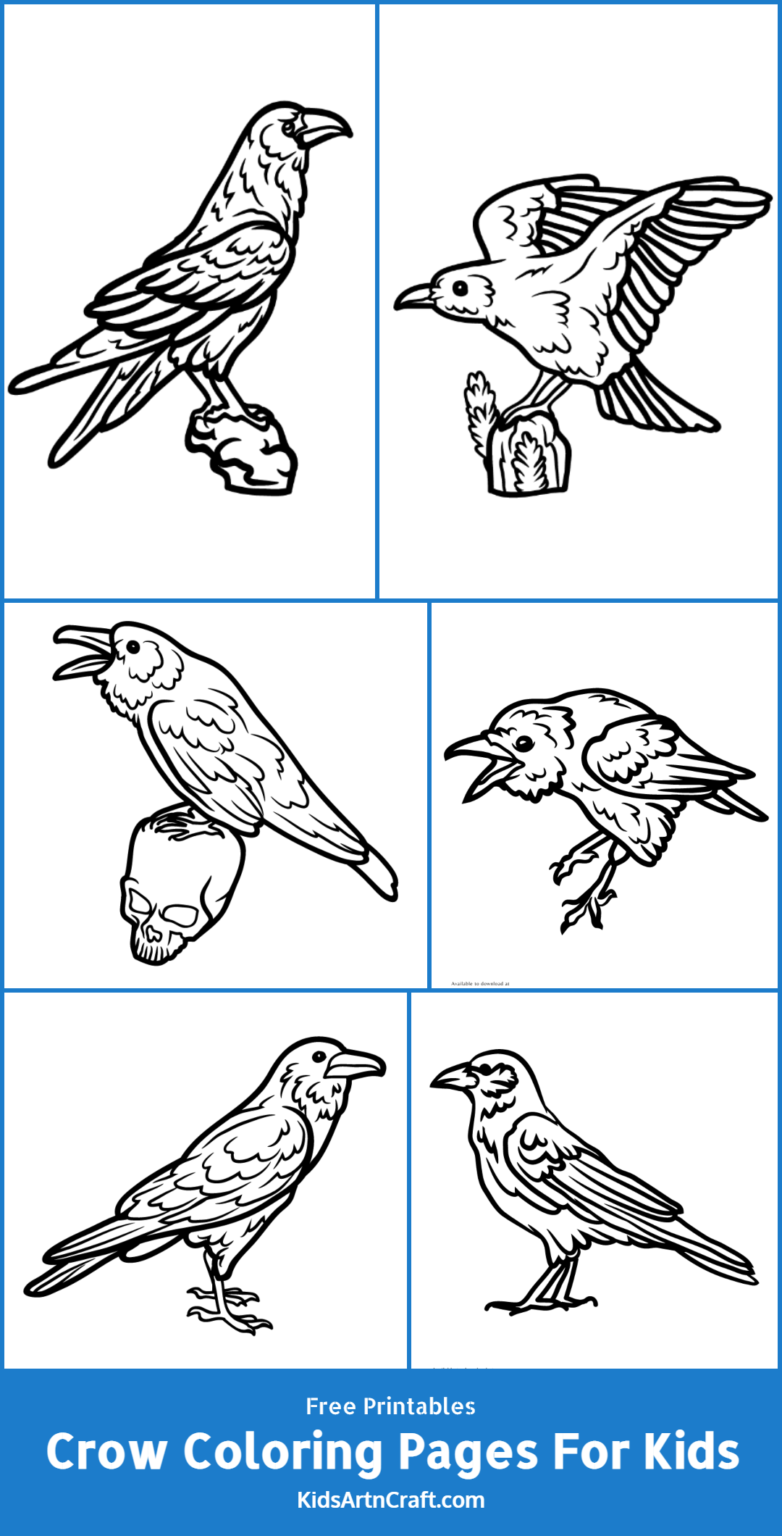 Crow Coloring Pages for Kids – Free Printables - Kids Art & Craft