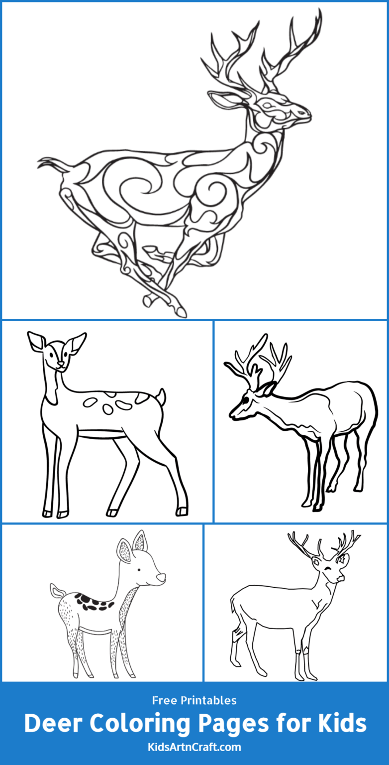 Deer Coloring Pages for Kids – Free Printables - Kids Art & Craft