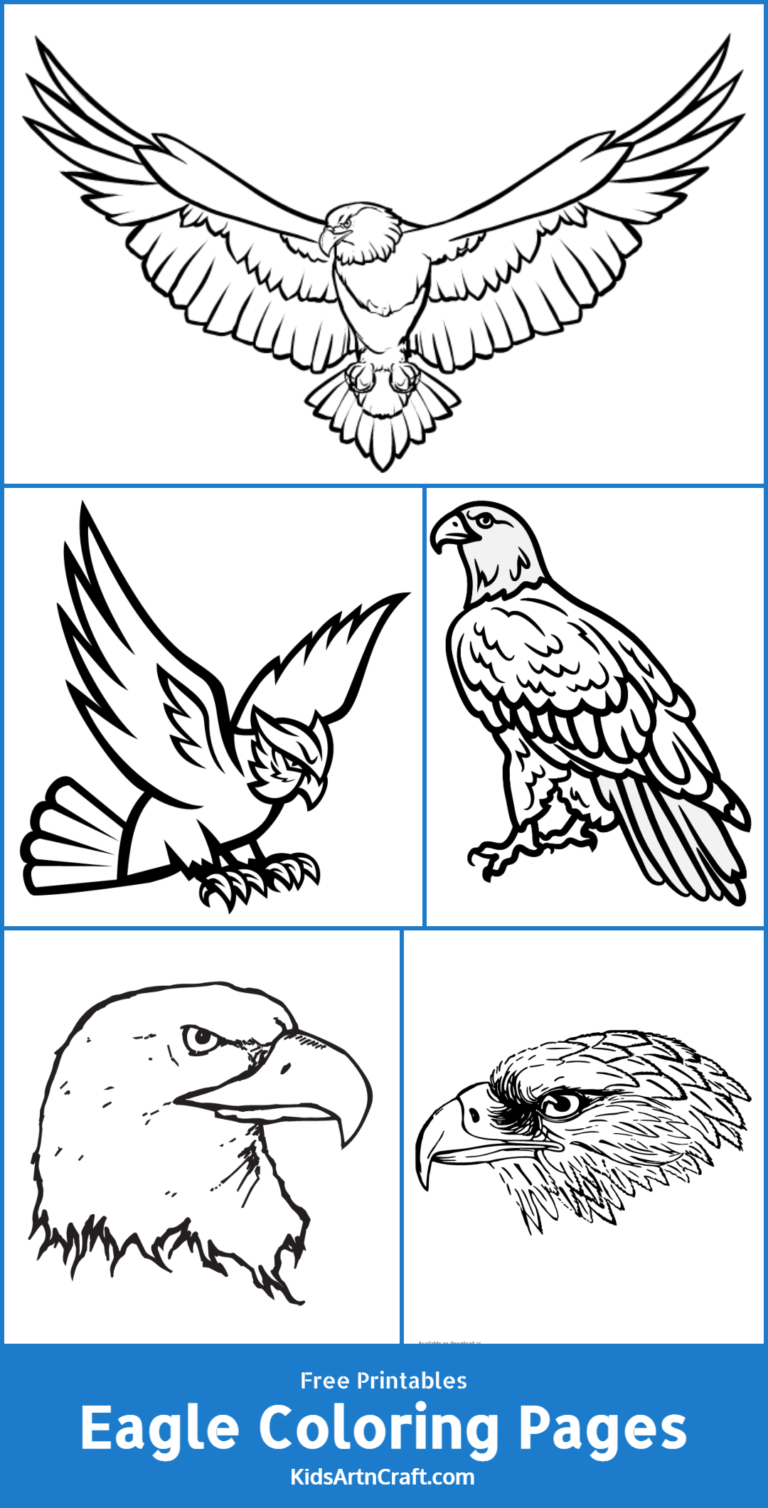 Eagle Coloring Pages for Kids – Free Printables - Kids Art & Craft