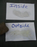 Hands-On Climate Change Activities for Kids - Kids Art & Craft