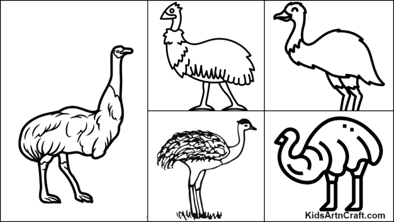 Emu Coloring Pages For Kids – Free Printables - Kids Art & Craft