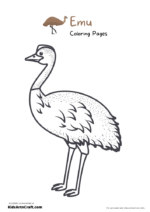 Emu Coloring Pages For Kids – Free Printables - Kids Art & Craft