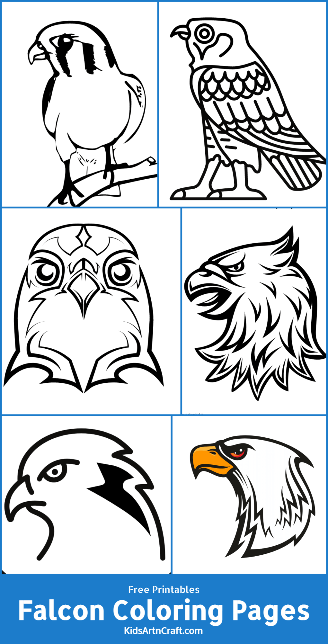 Falcon Coloring Pages For Kids – Free Printables - Kids Art & Craft