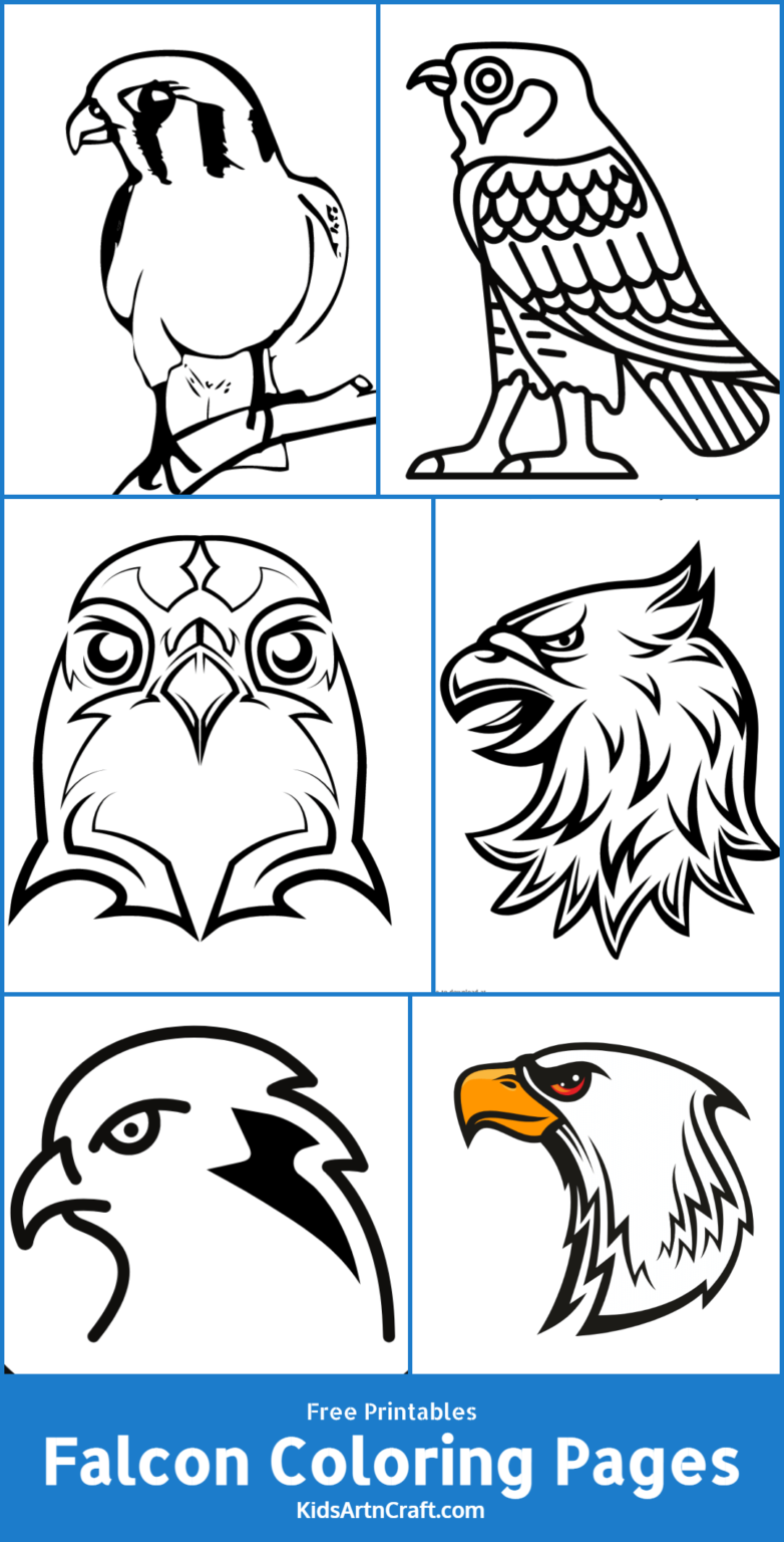 Falcon Coloring Pages For Kids – Free Printables - Kids Art & Craft
