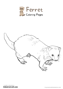 Ferret Coloring Pages For Kids – Free Printables - Kids Art & Craft
