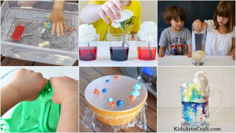 Free Kindergarten Science Activities - Kids Art & Craft