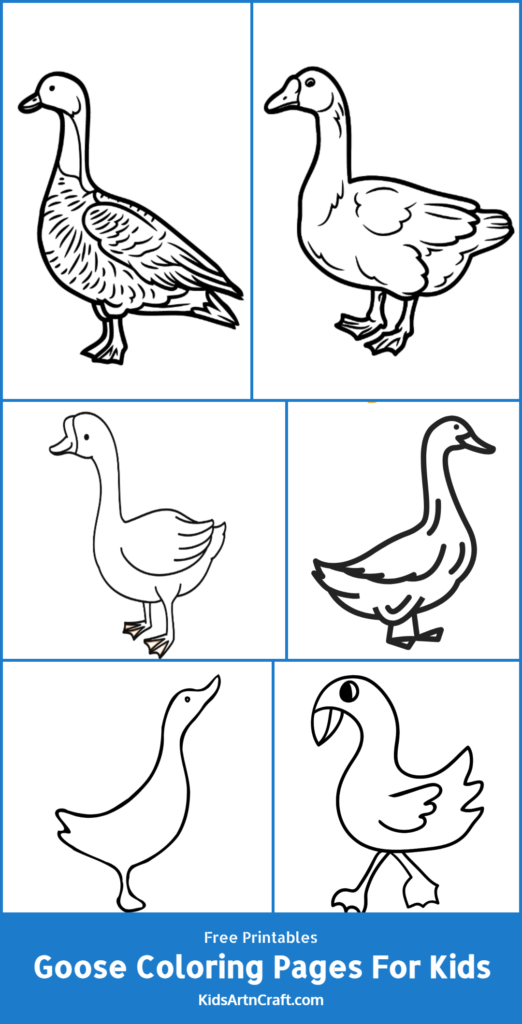 Goose Coloring Pages For Kids – Free Printables - Kids Art & Craft