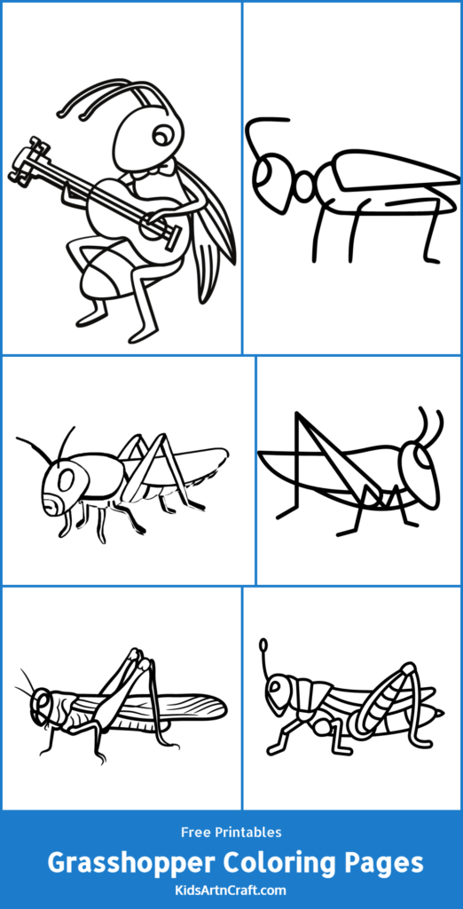 Grasshopper Coloring Pages For Kids – Free Printables - Kids Art & Craft