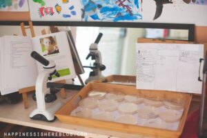 Fun Science Activities For Grade 3 - Kids Art & Craft