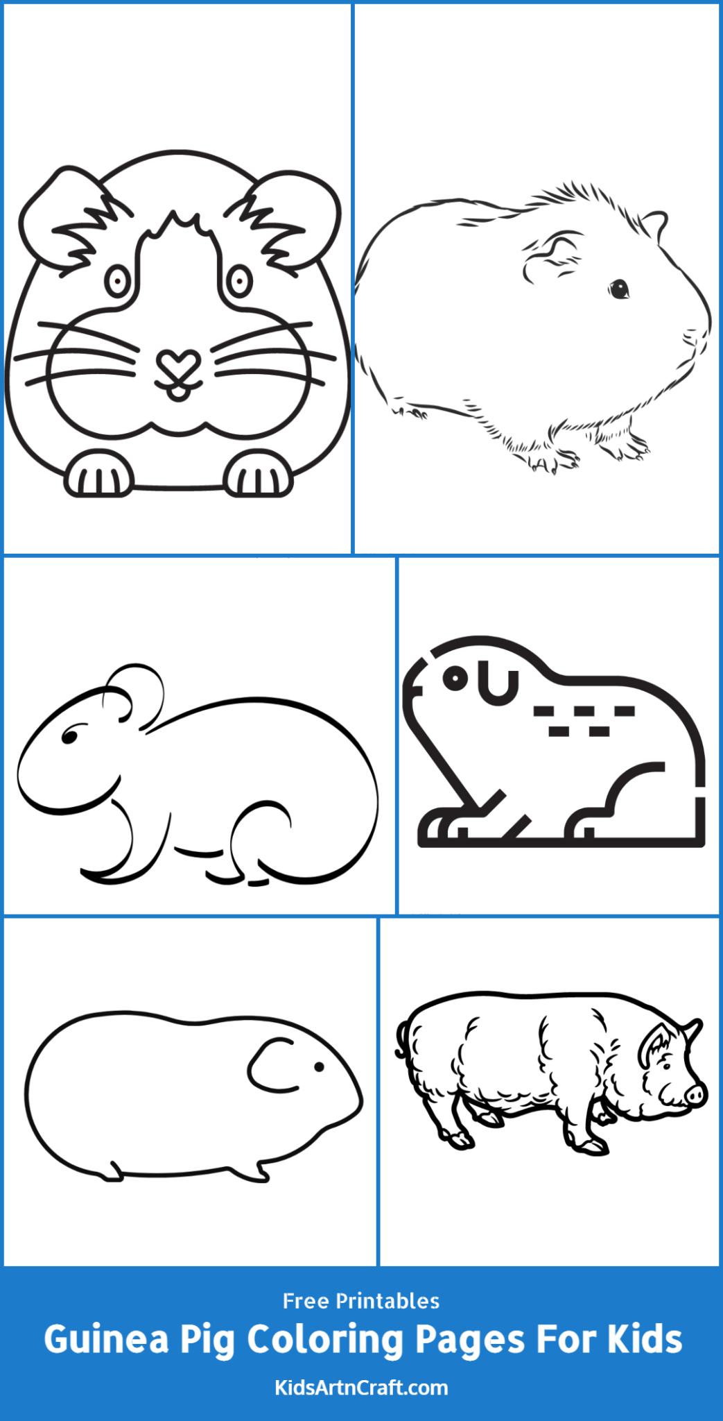 Guinea Pig Coloring Pages For Kids – Free Printables - Kids Art & Craft