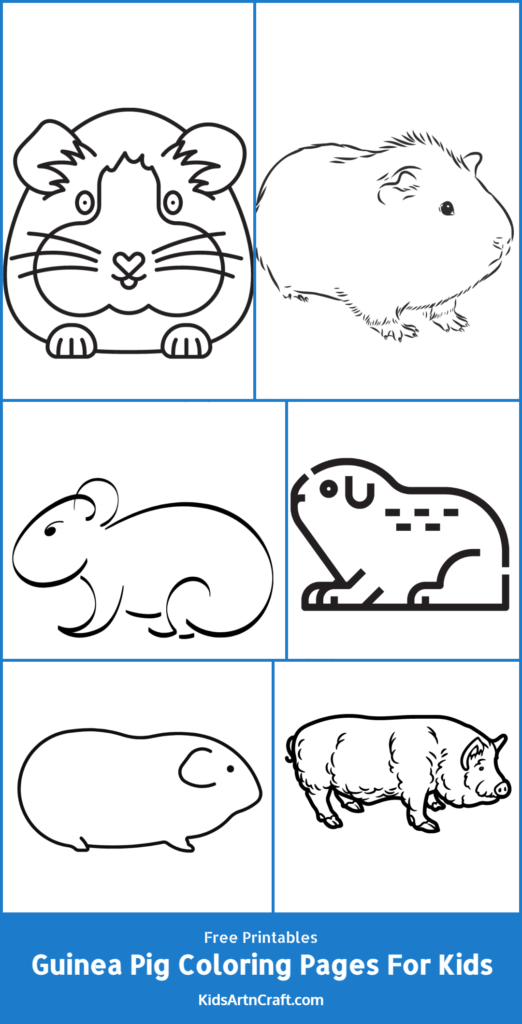 Guinea Pig Coloring Pages For Kids – Free Printables - Kids Art & Craft