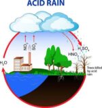 Hands-On Climate Change Activities for Kids - Kids Art & Craft