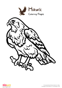 Hawk Coloring Pages For Kids – Free Printables - Kids Art & Craft