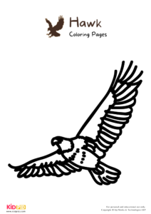 Hawk Coloring Pages For Kids – Free Printables - Kids Art & Craft