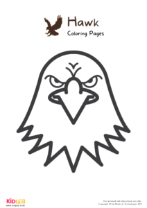 Hawk Coloring Pages For Kids – Free Printables - Kids Art & Craft
