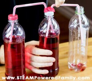 Heart & Circulatory System Biology Activities for Kids - Kids Art & Craft