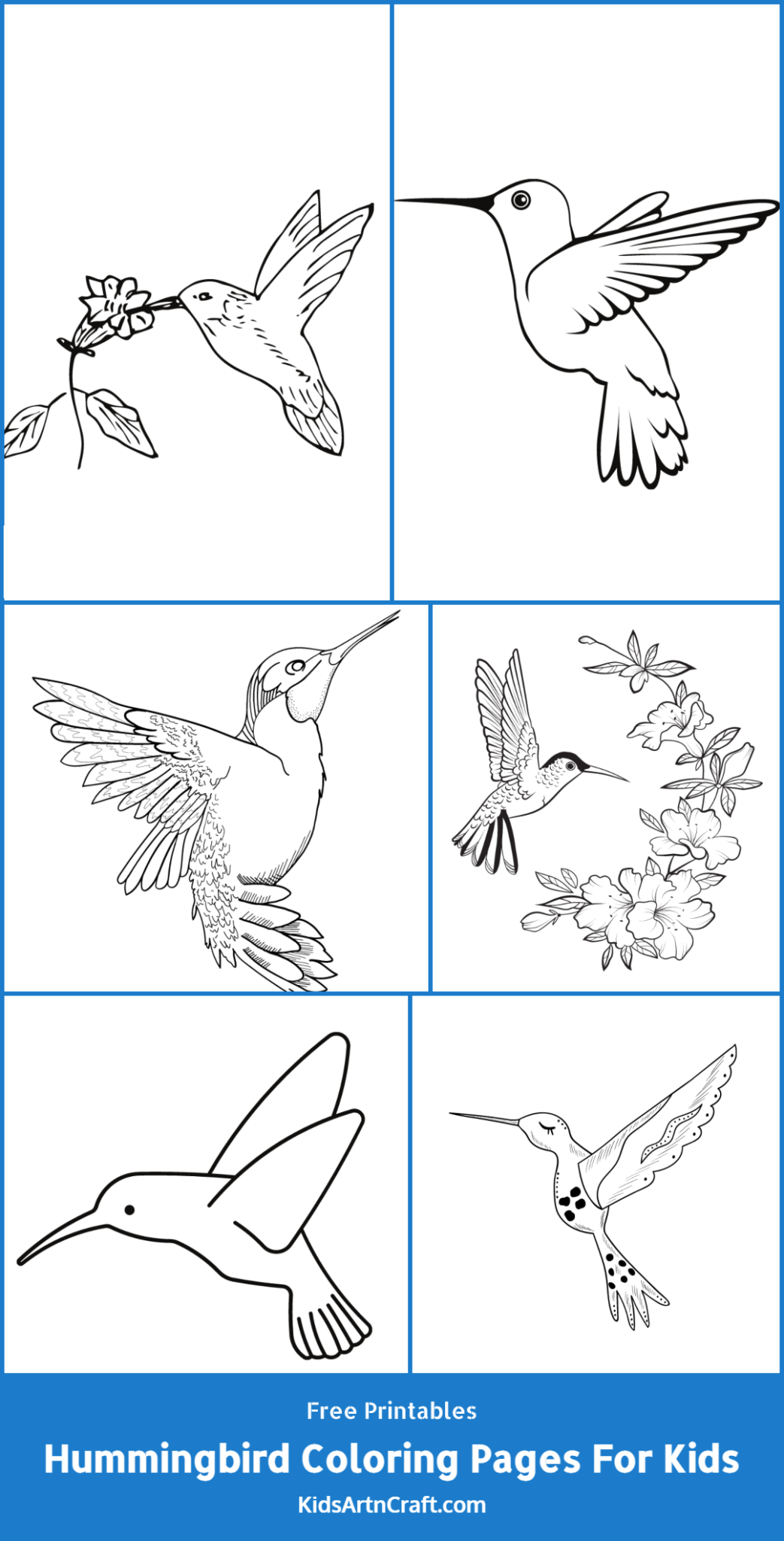 Hummingbird Coloring Pages For Kids – Free Printables - Kids Art & Craft