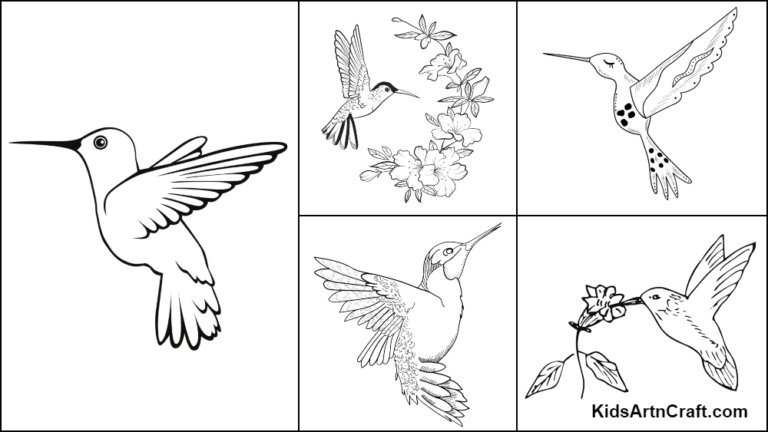 Hummingbird Coloring Pages For Kids – Free Printables - Kids Art & Craft