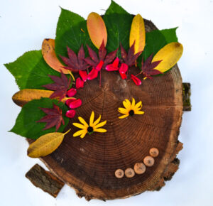 Nature Inspired Crafts and Activities - Kids Art & Craft