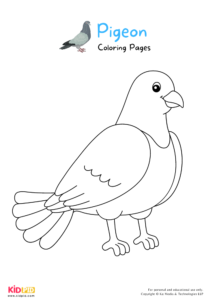 Pigeon Coloring Pages For Kids – Free Printables - Kids Art & Craft