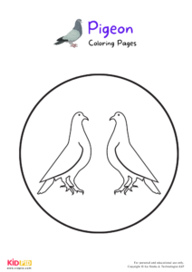Pigeon Coloring Pages For Kids – Free Printables - Kids Art & Craft