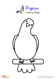 Pigeon Coloring Pages For Kids – Free Printables - Kids Art & Craft