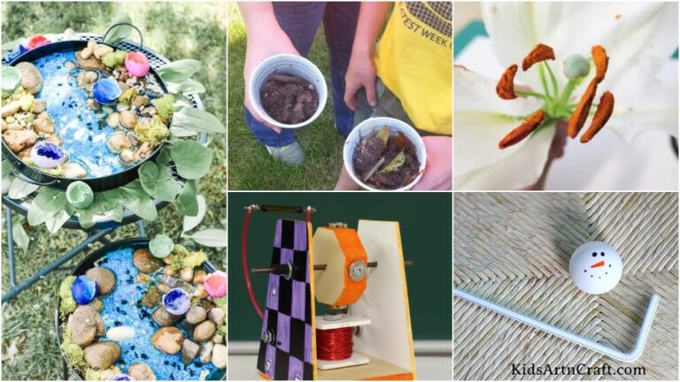 Science Experiments & Activities for 6th Grade - Kids Art & Craft