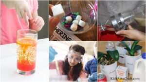 Science Experiments and Activities for 2nd Grade - Kids Art & Craft