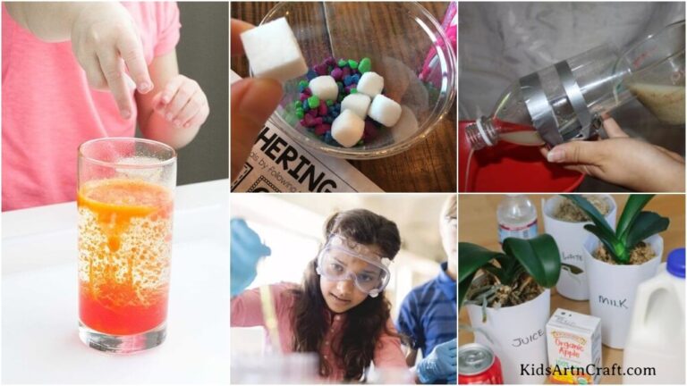 Science Experiments and Activities for 2nd Grade - Kids Art & Craft