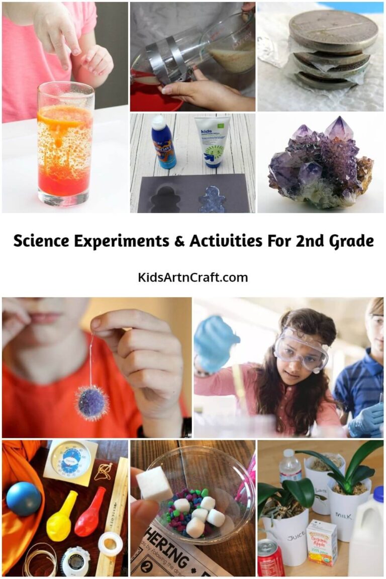 Science Experiments and Activities for 2nd Grade - Kids Art & Craft