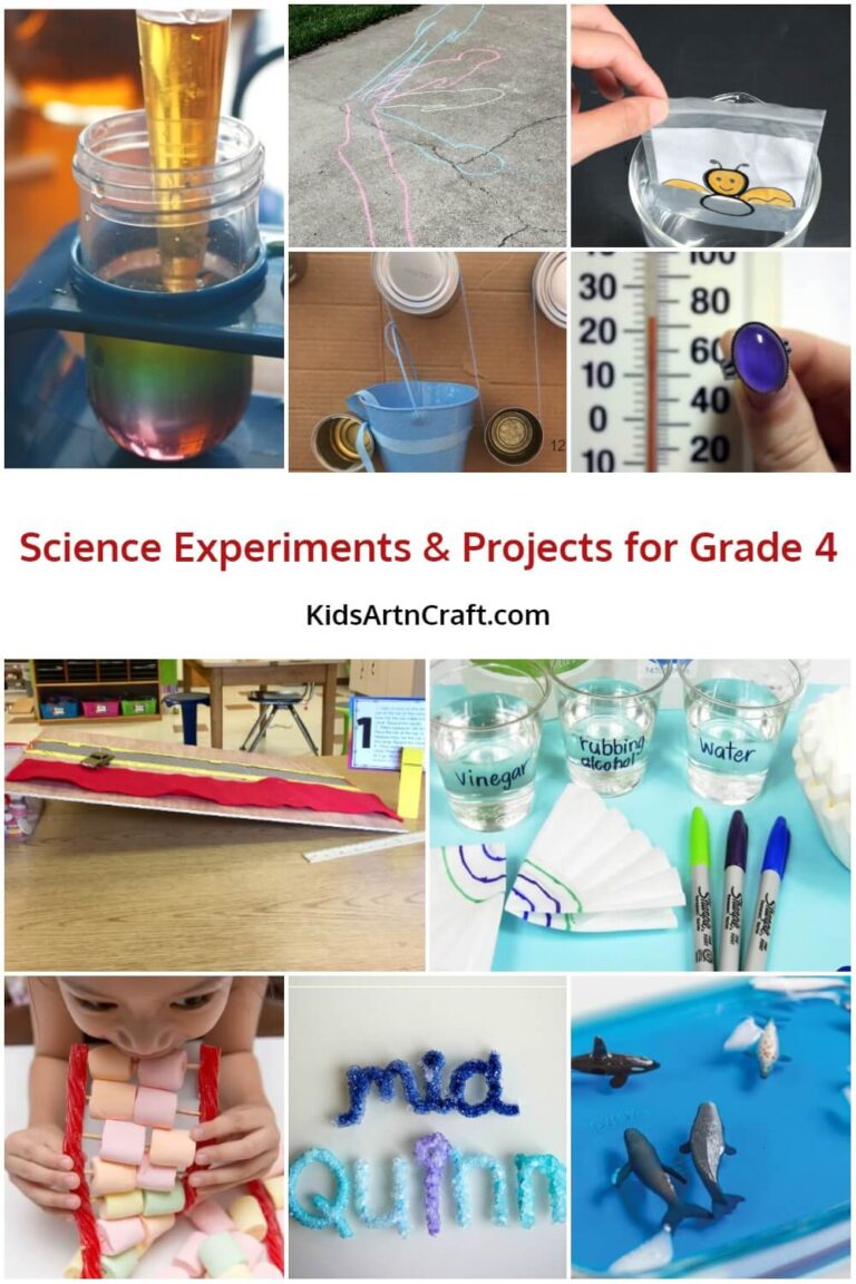 Science Experiments For Class 4 With Explaination - Simple Fair Project ...