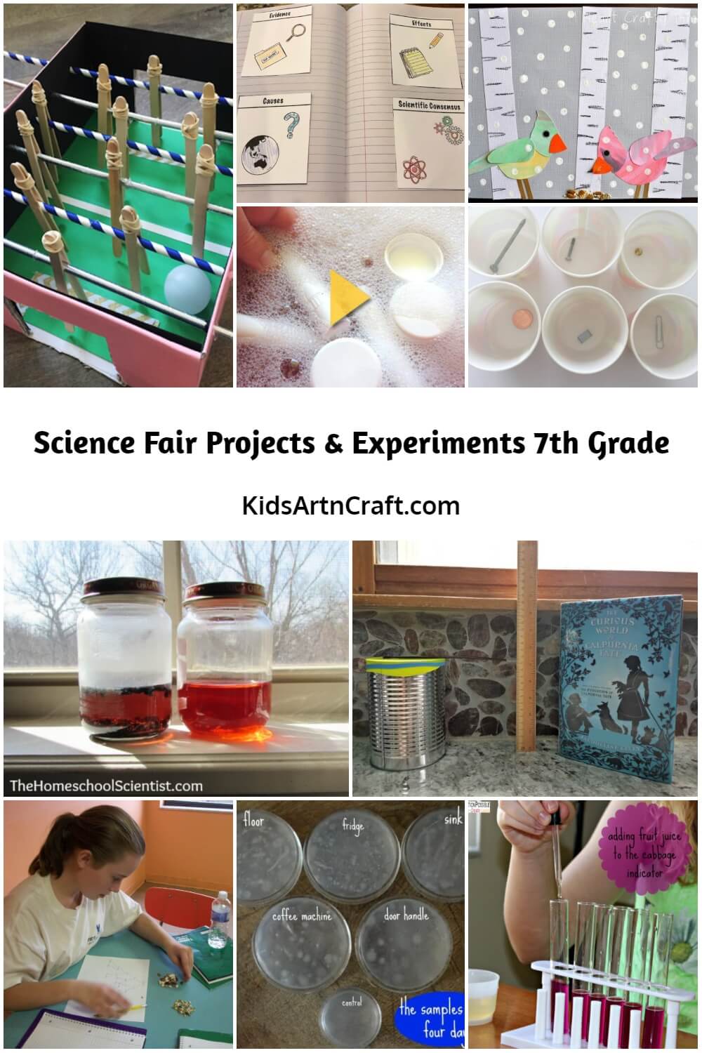  Science Fair Projects Experiments For Grade 7 Kids Art Craft