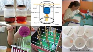 Science Fair Projects & Experiments for Grade 7 - Kids Art & Craft