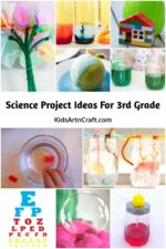 Science Project Ideas for 3rd Grade - Kids Art & Craft
