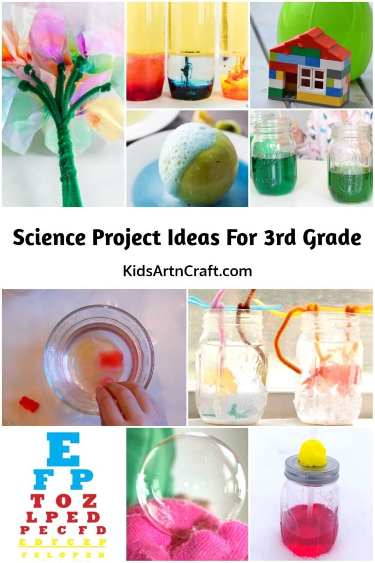 Science Project Ideas for 3rd Grade - Kids Art & Craft