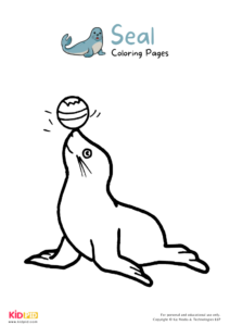 Seal Coloring Pages For Kids – Free Printables - Kids Art & Craft