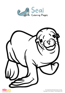 Seal Coloring Pages For Kids – Free Printables - Kids Art & Craft