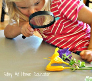 Creative Ways to Teach Five Senses - Kids Art & Craft