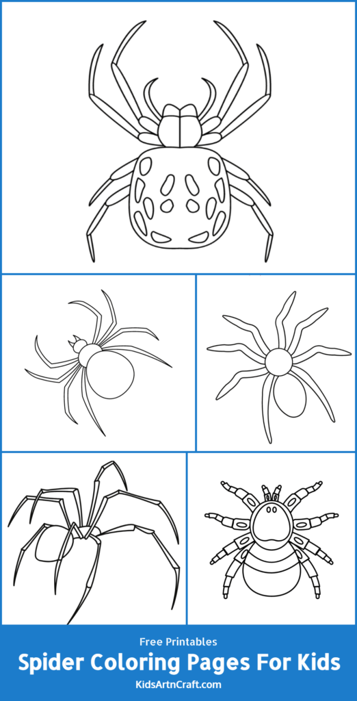 Spider Coloring Pages For Kids – Free Printables - Kids Art & Craft