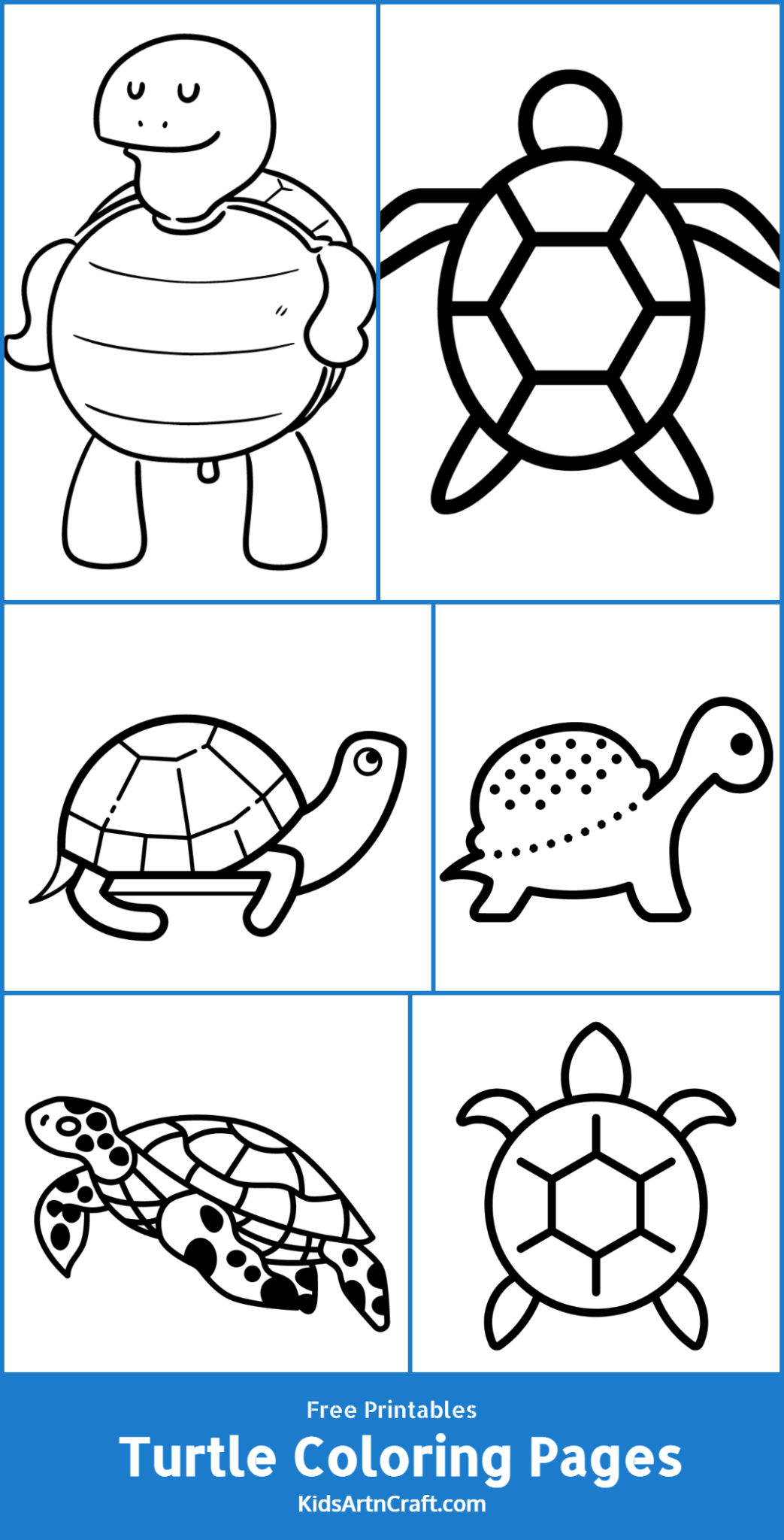 Turtle Coloring Pages For Kids – Free Printables - Kids Art & Craft