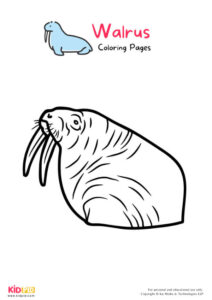 Walrus Coloring Pages For Kids – Free Printables - Kids Art & Craft