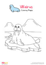Walrus Coloring Pages For Kids – Free Printables - Kids Art & Craft