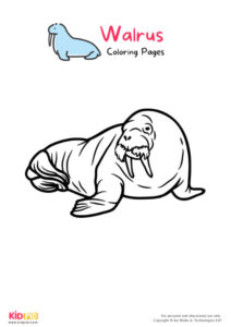 Walrus Coloring Pages For Kids – Free Printables - Kids Art & Craft