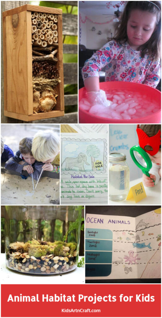 Animal Habitat Projects for Kids - Kids Art & Craft
