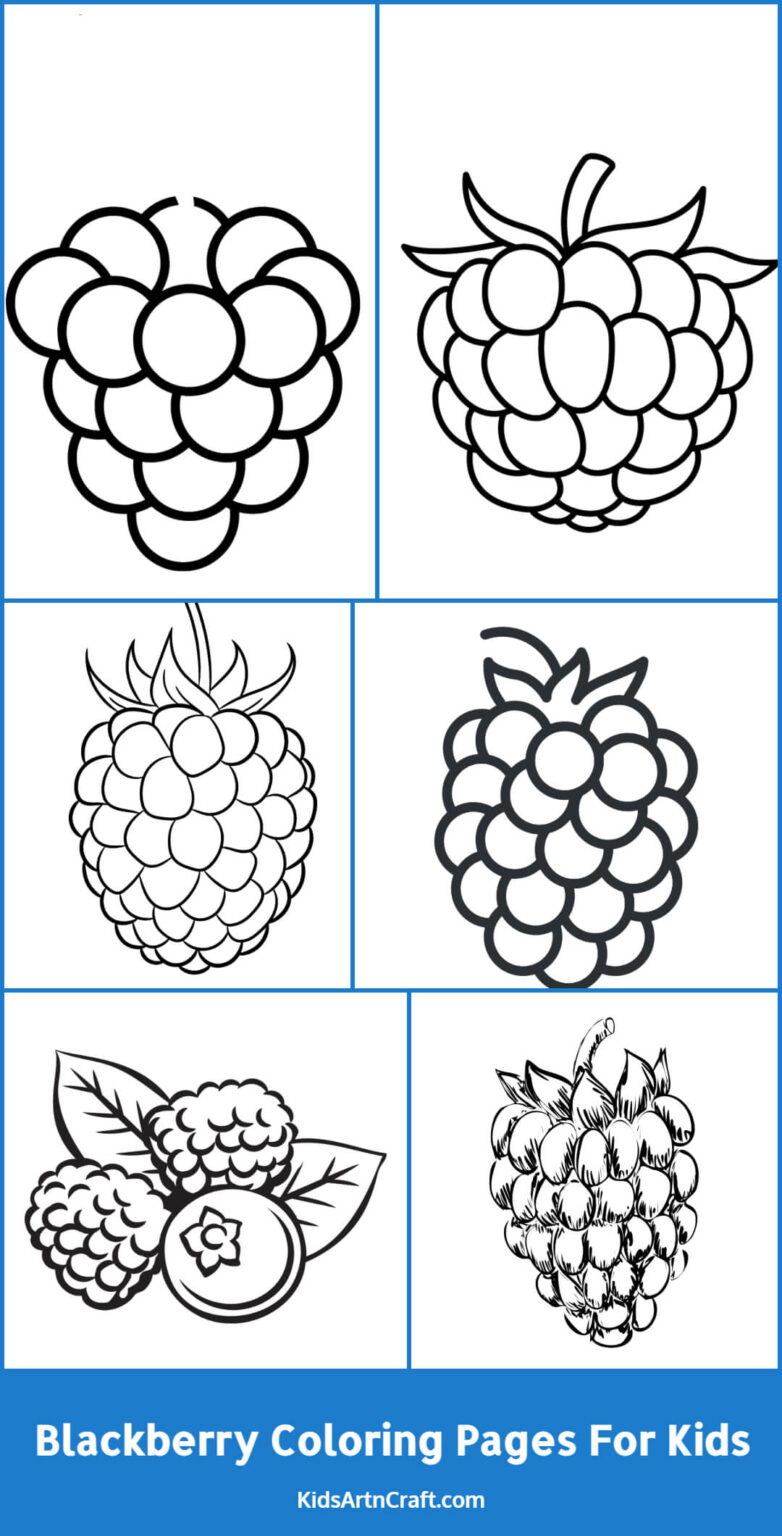 Blackberry Coloring Pages For Kids – Free Printables - Kids Art & Craft