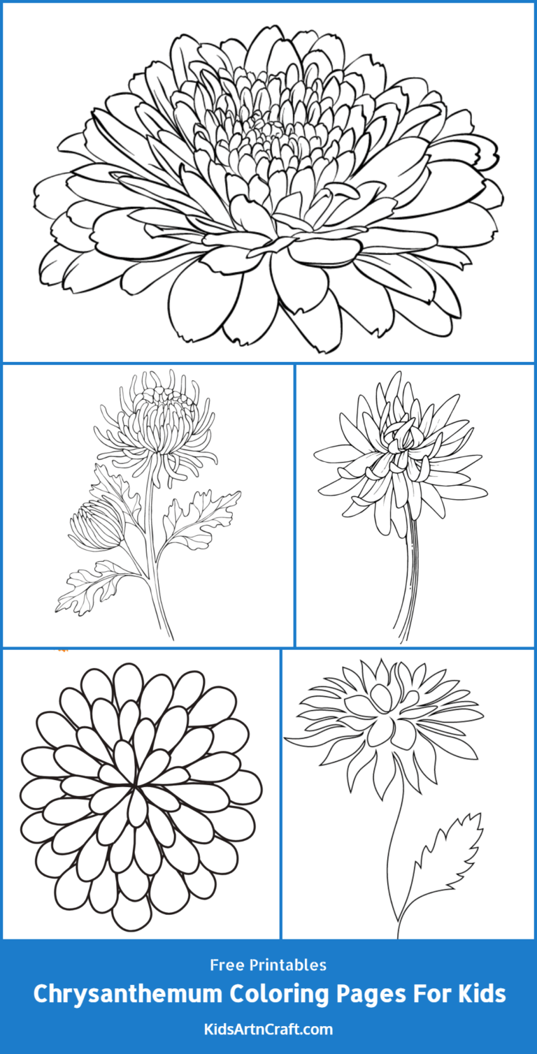 Chrysanthemum Coloring Pages For Kids – Free Printables - Kids Art & Craft