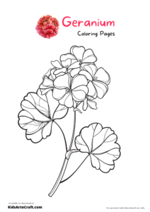 Geranium Coloring Pages For Kids – Free Printables - Kids Art & Craft