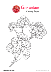 Geranium Coloring Pages For Kids – Free Printables - Kids Art & Craft