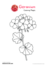 Geranium Coloring Pages For Kids – Free Printables - Kids Art & Craft