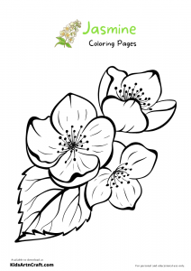 Jasmine Coloring Pages For Kids – Free Printables - Kids Art & Craft